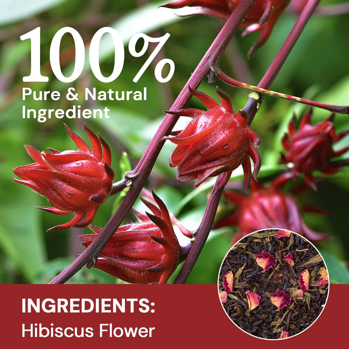 Refreshing hibiscus flower tea bags