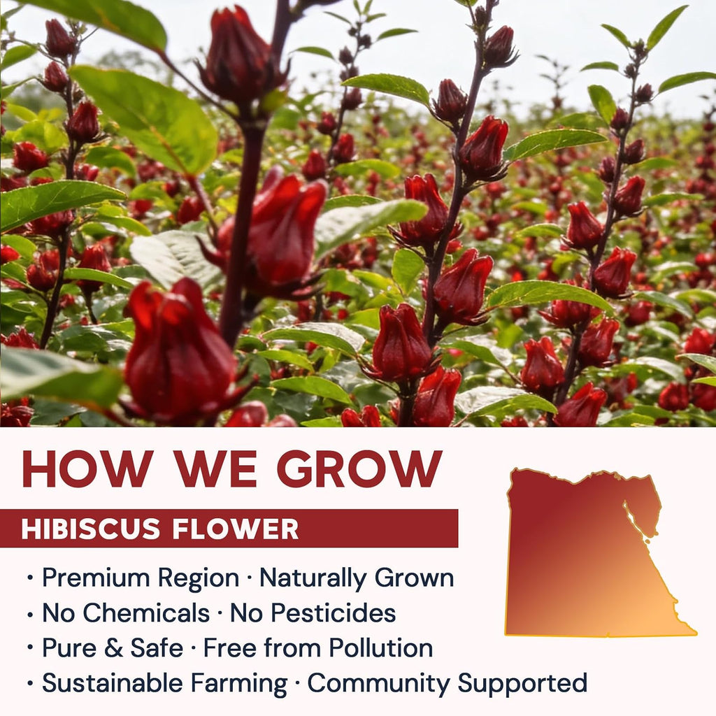 Refreshing hibiscus flower tea bags