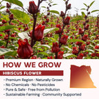 Refreshing hibiscus flower tea bags