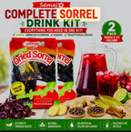 refreshing hibiscus herbal infusion