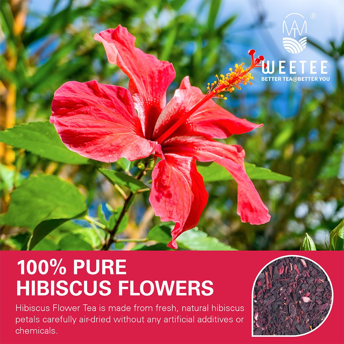 refreshing hibiscus herbal infusion