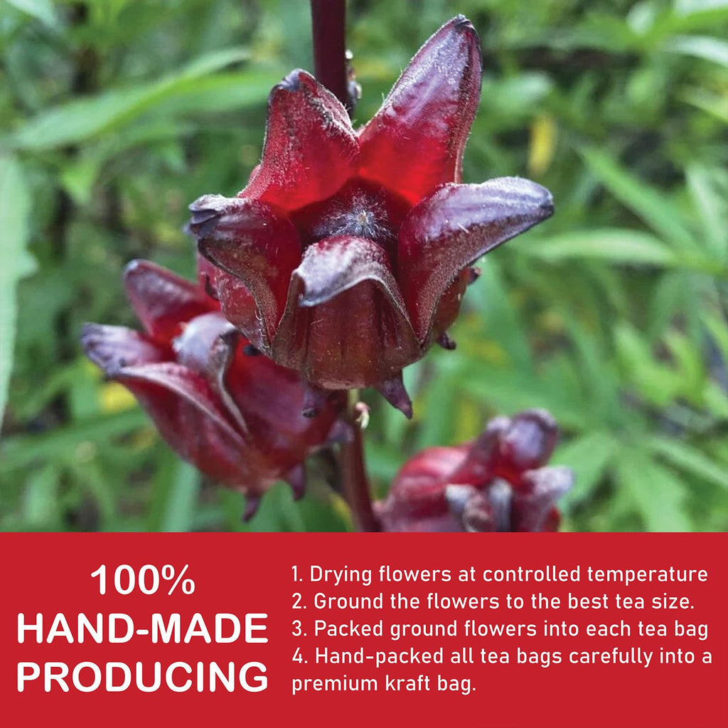 Refreshing hibiscus tea for hydration