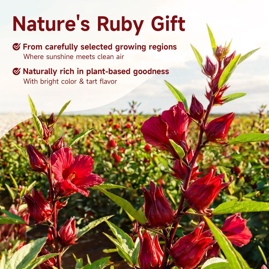 refreshing hibiscus tea for relaxation