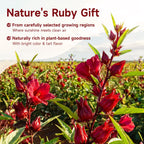 refreshing hibiscus tea for relaxation