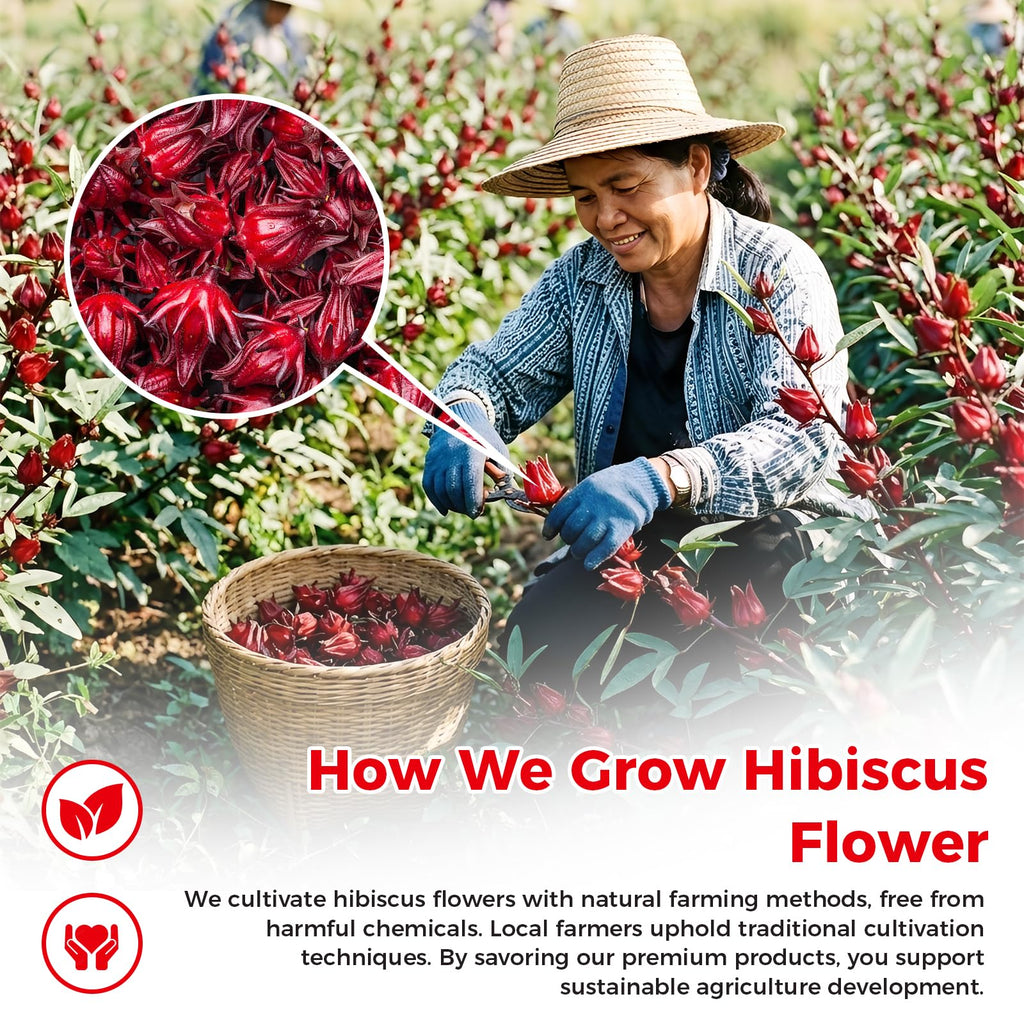 refreshing hibiscus tea for wellness