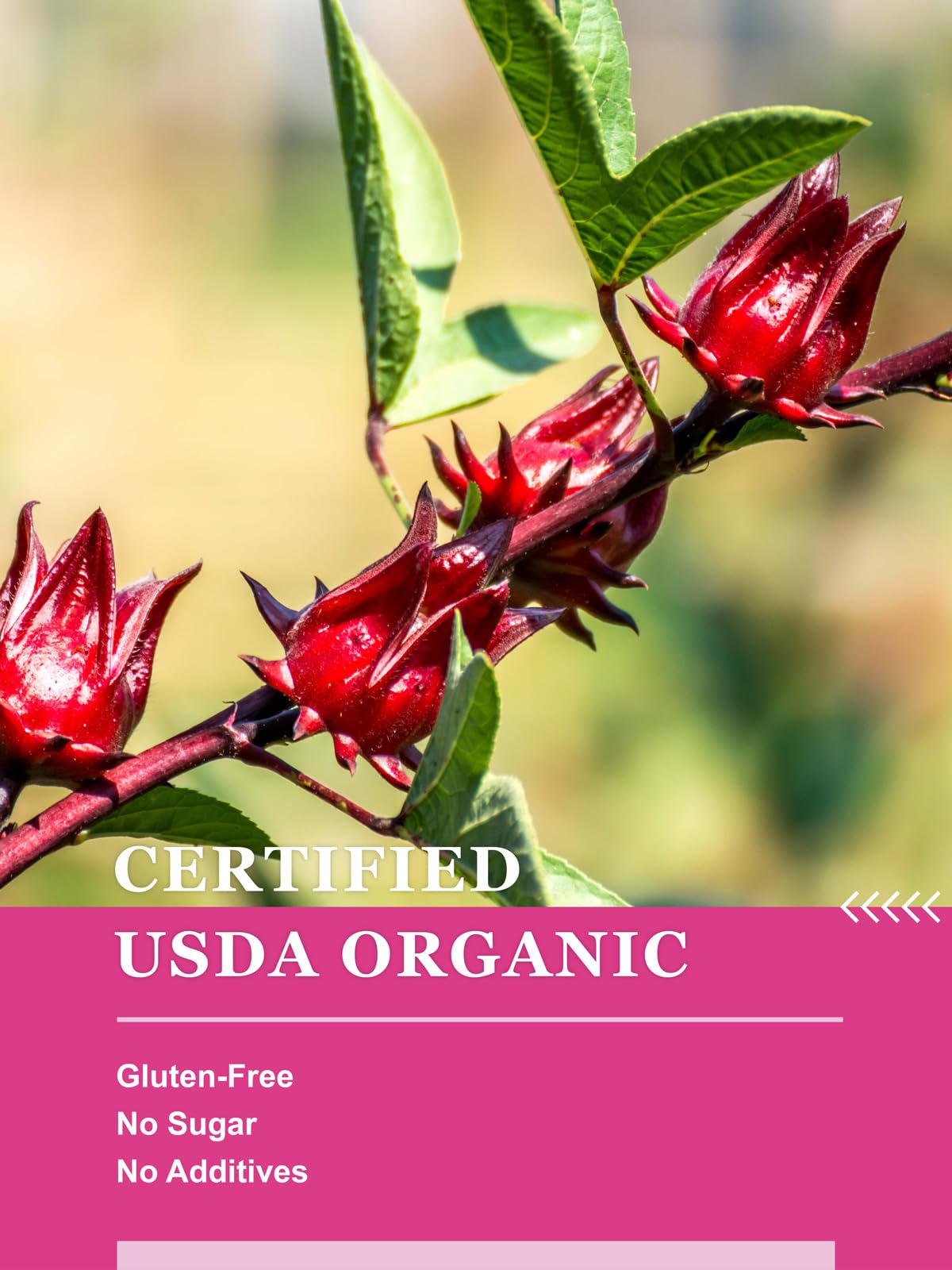 refreshing hibiscus tea for wellness