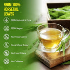 refreshing horsetail leaf tea bags