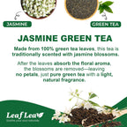 refreshing jasmine green tea bags