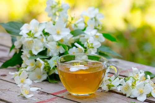 refreshing jasmine green tea experience