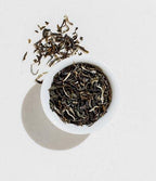 refreshing jasmine herbal infusion