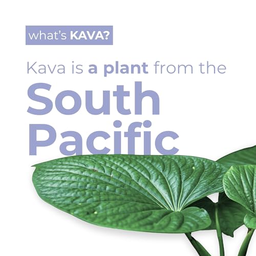 refreshing kava kava drink option
