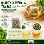 refreshing lemon balm tea experience