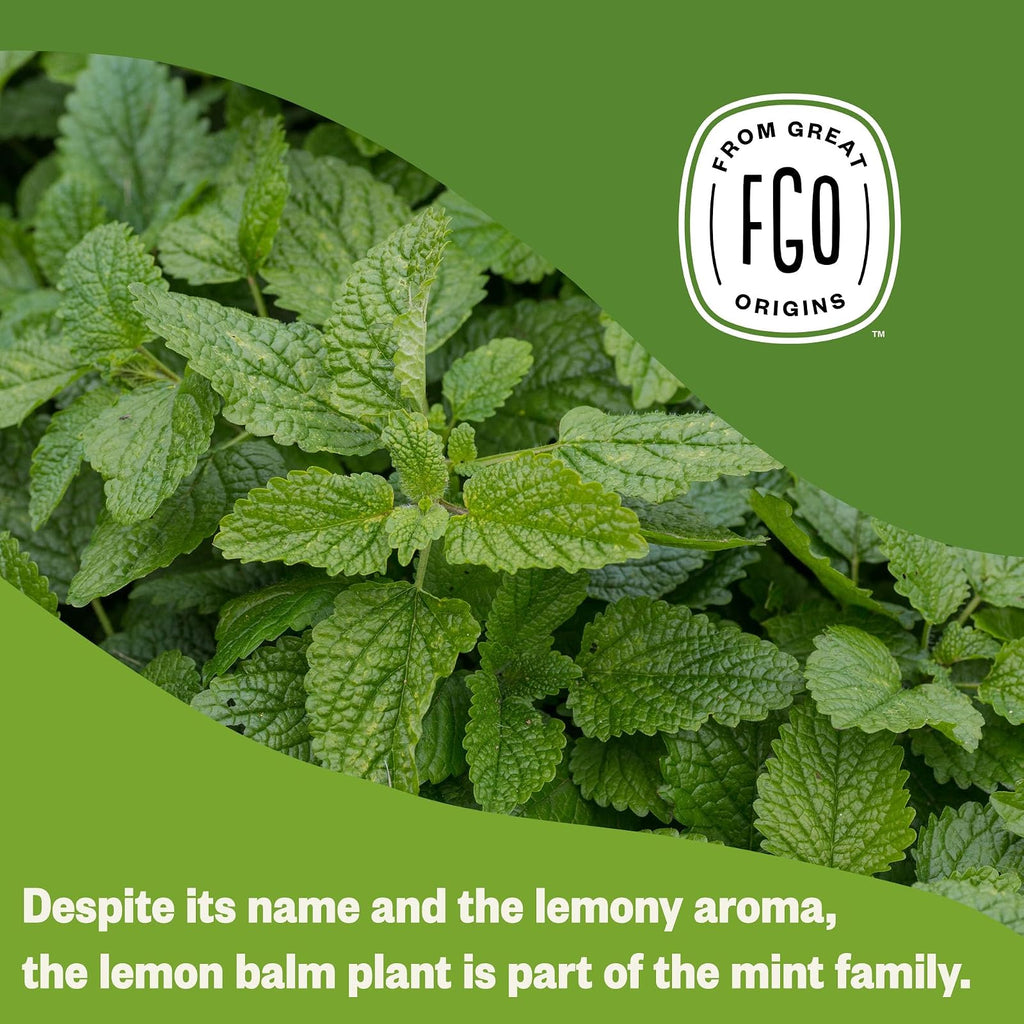 refreshing lemon balm tea for wellness