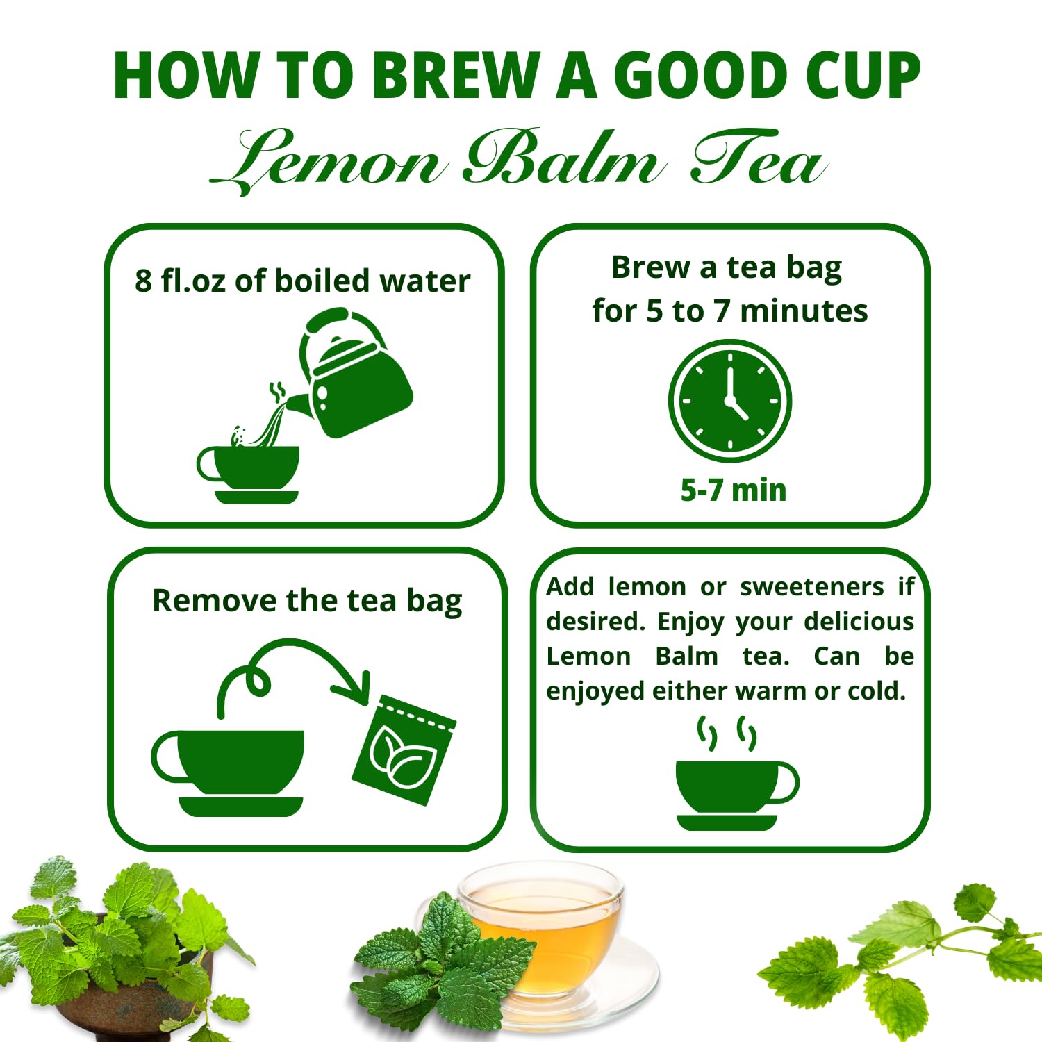 refreshing lemon balm tea infusion