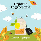refreshing lemon ginger herbal infusion