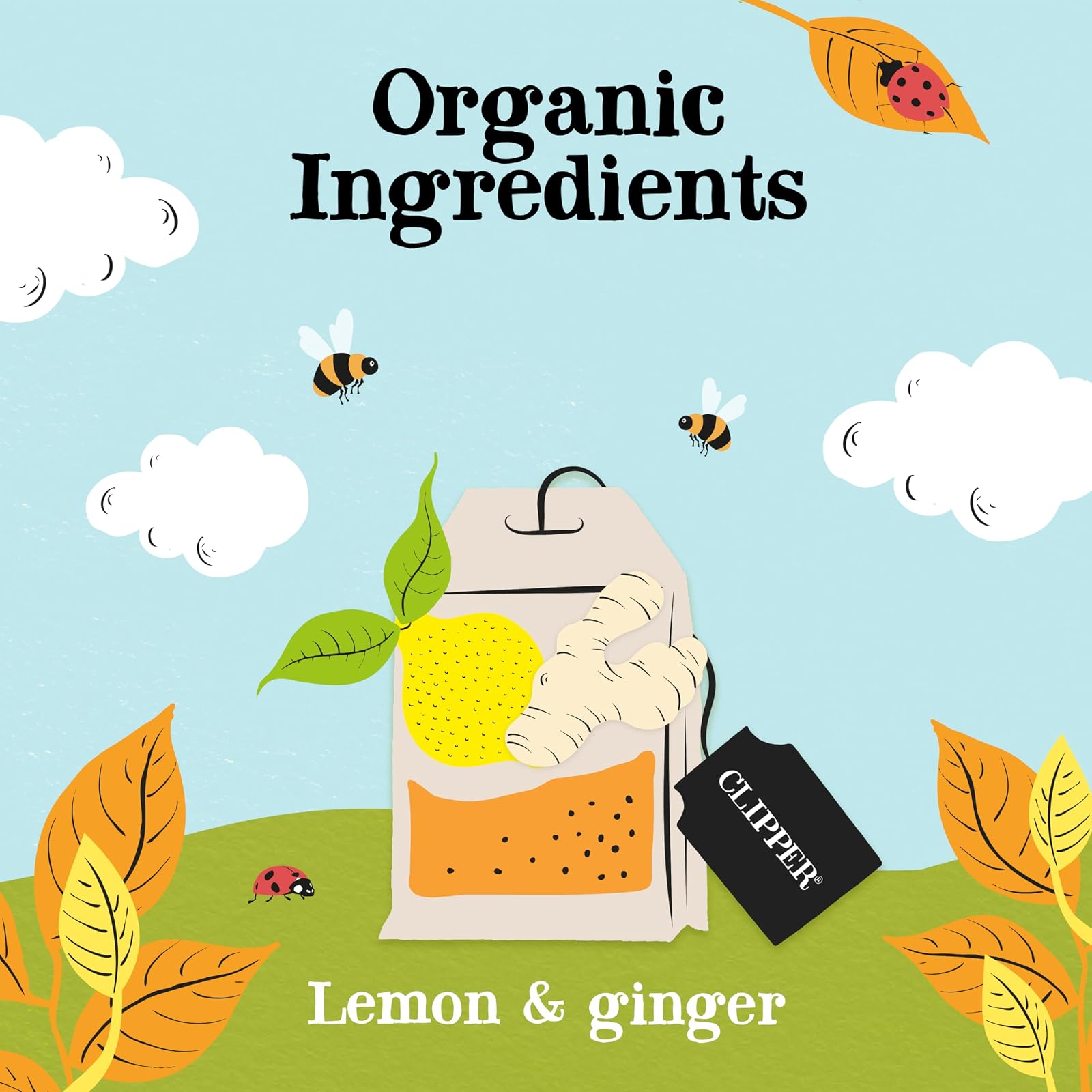 refreshing lemon ginger herbal infusion