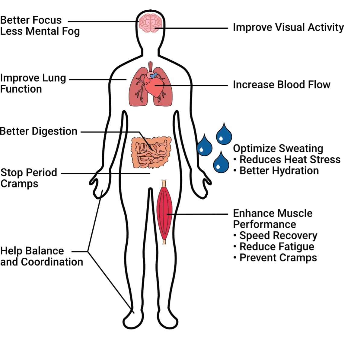 refreshing lemon lime electrolyte solution