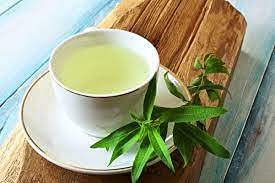 refreshing lemon verbena tea experience