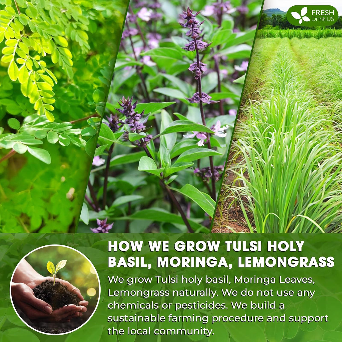 Refreshing lemongrass herbal infusion
