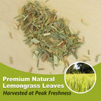 refreshing lemongrass tea for relaxation