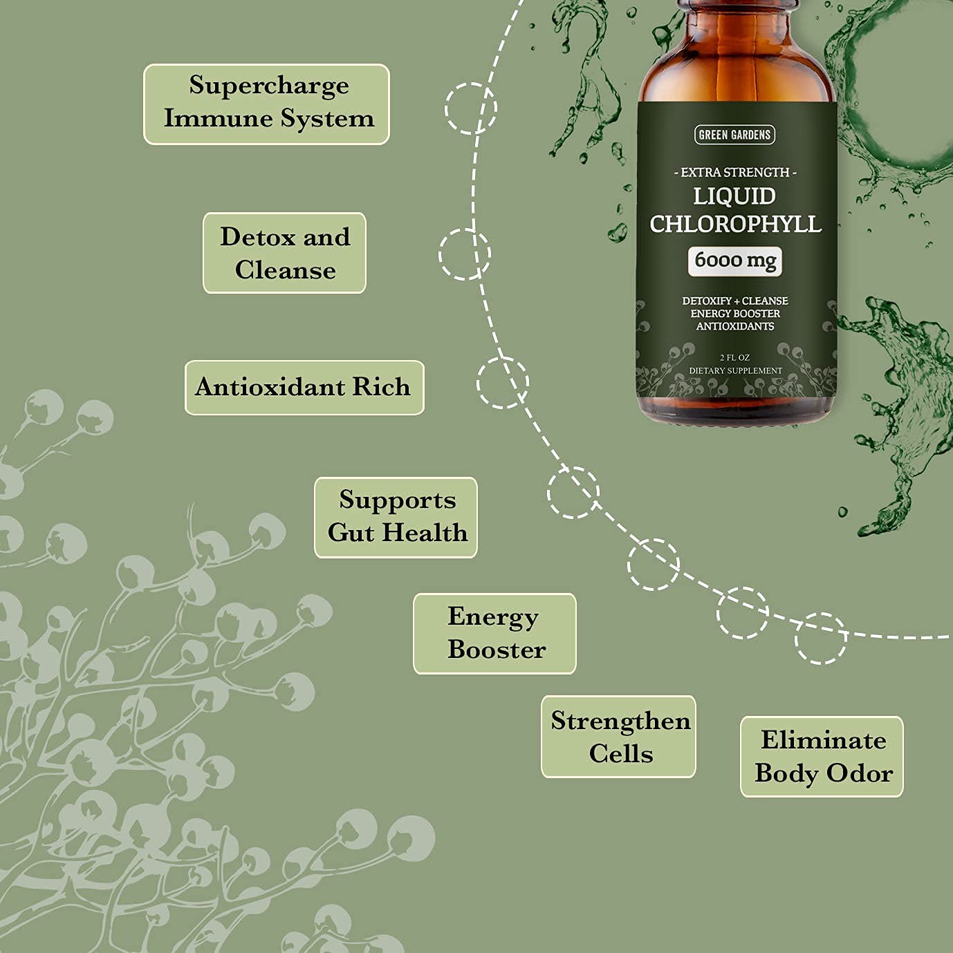 refreshing mint chlorophyll liquid drops