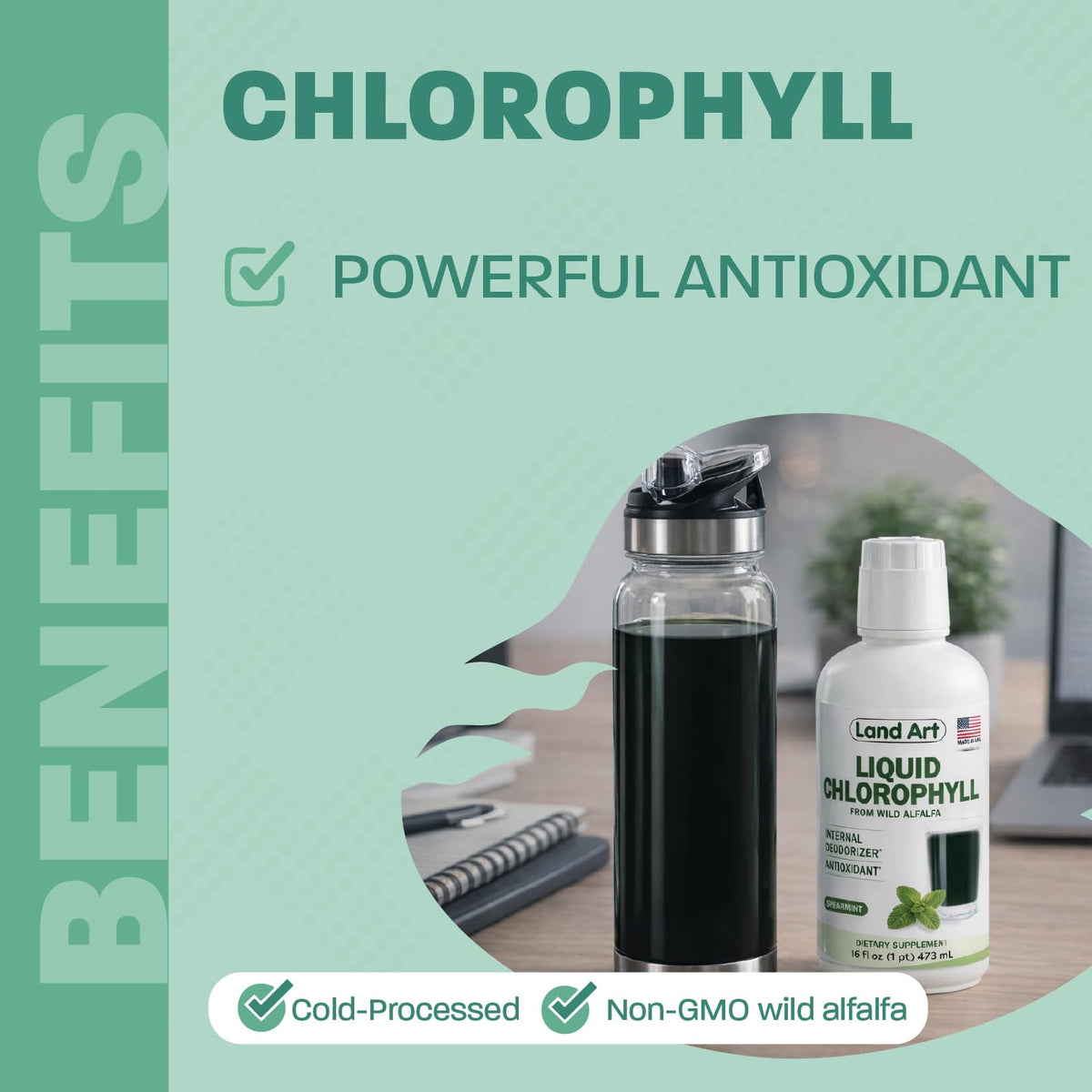 Refreshing mint flavour Chlorophyll drink