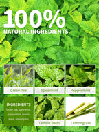 refreshing mint green tea experience