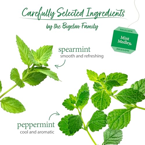 refreshing mint herbal tea