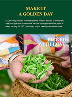 refreshing organic green tea experience