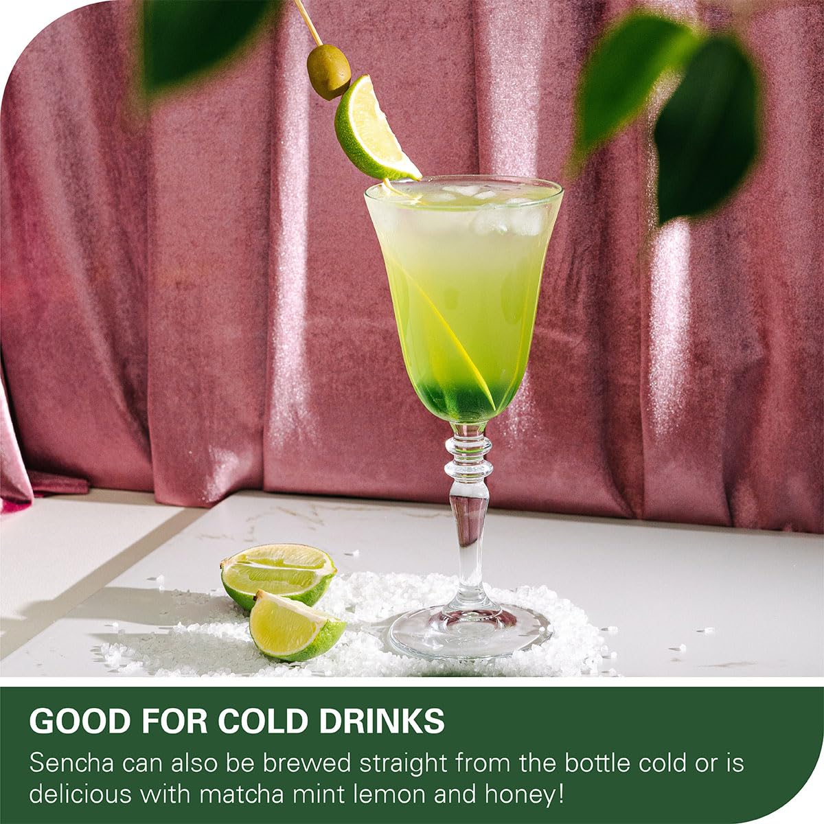 refreshing organic sencha tea bags