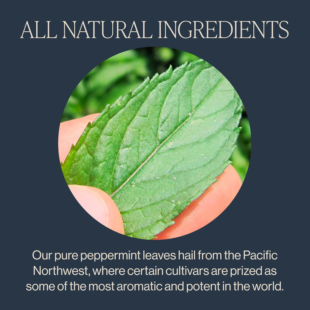 refreshing peppermint herbal infusion