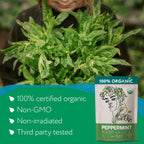 refreshing peppermint herbal tea
