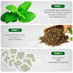refreshing peppermint herbal tea
