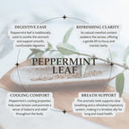 refreshing peppermint tea for digestion