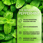 Refreshing peppermint tea for relaxation