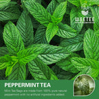 refreshing peppermint tea for relaxation
