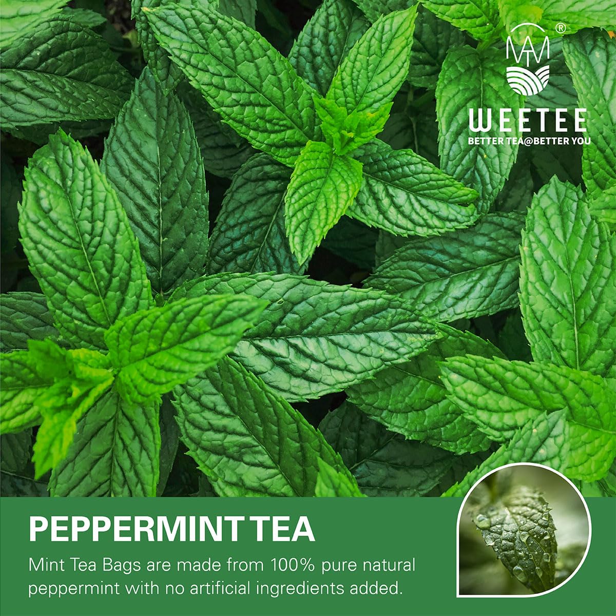 refreshing peppermint tea for relaxation