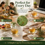 refreshing pine needle beverage