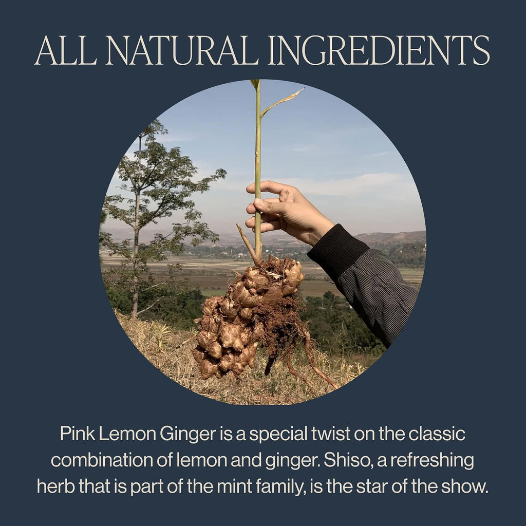 refreshing pink lemon ginger tea