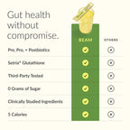 refreshing probiotic lemonade beverage