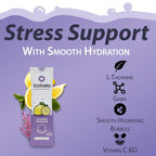 Refreshing self-carbonating drink mix with electrolytes