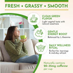 refreshing sencha green tea blend