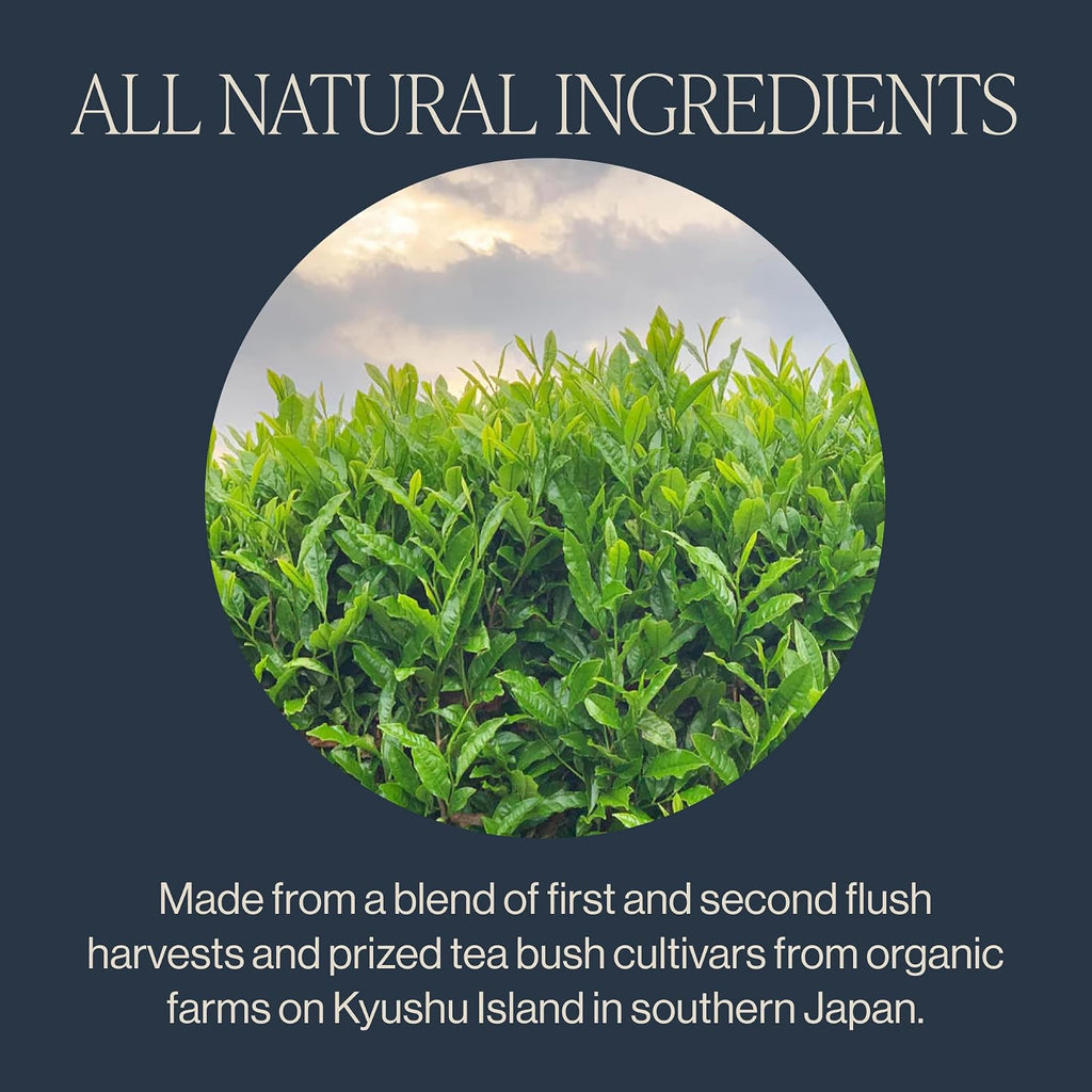 refreshing Sencha green tea experience