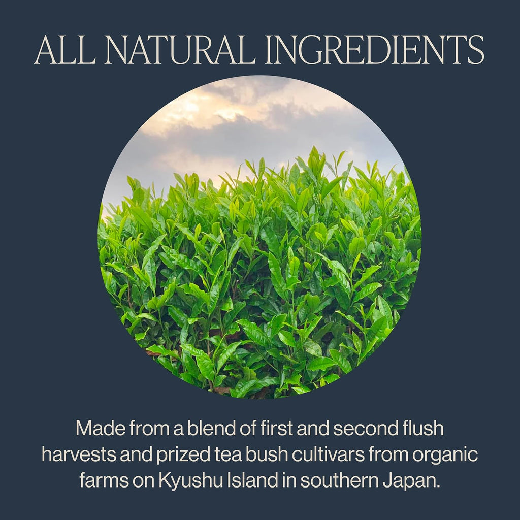 refreshing Sencha green tea experience