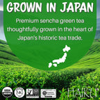 refreshing sencha tea for wellness