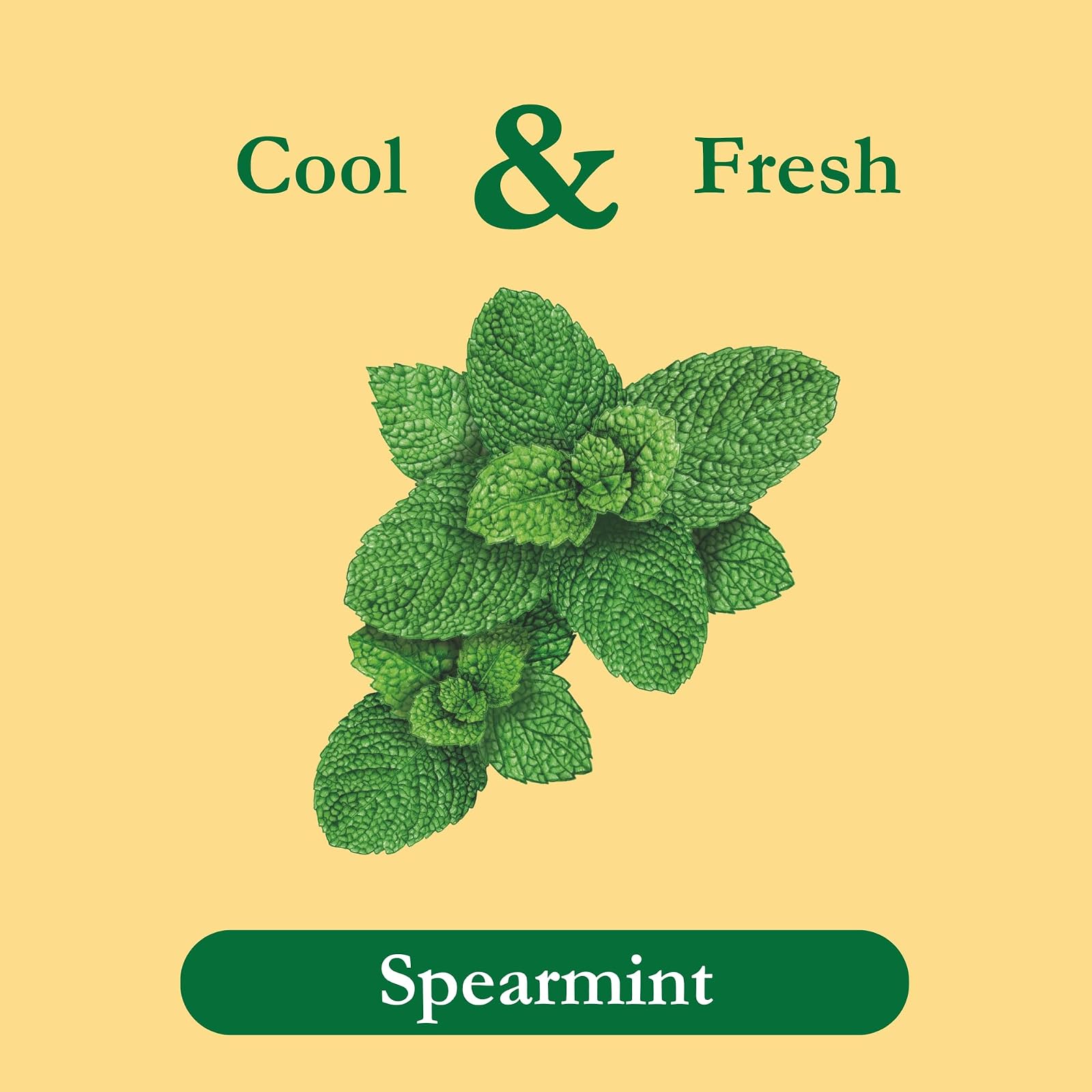 refreshing spearmint herbal tea bags