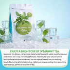 refreshing spearmint herbal tea bags