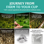 refreshing spearmint herbal tea bags