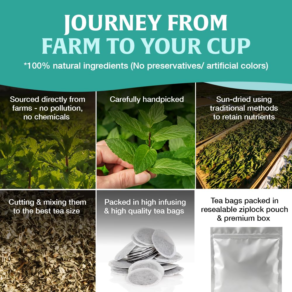 refreshing spearmint herbal tea bags