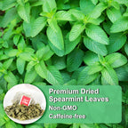 Refreshing spearmint herbal tea bags